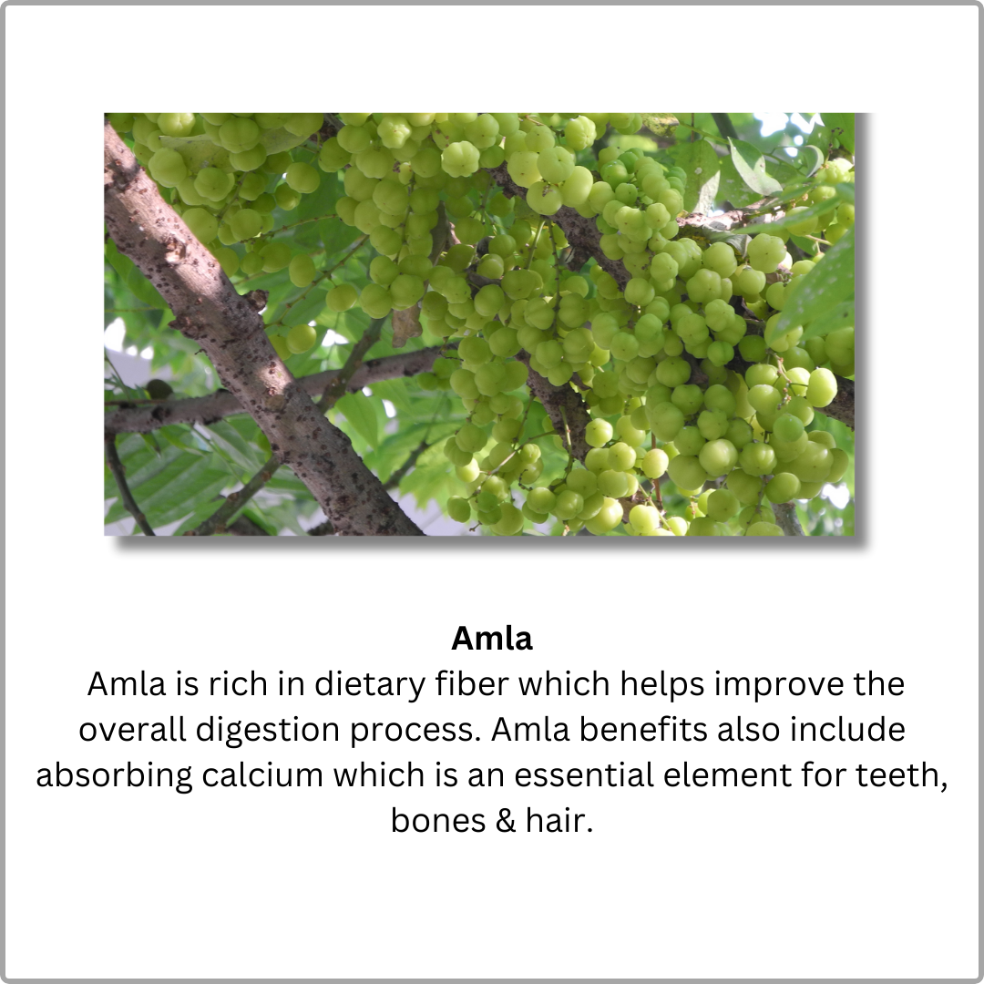 Dry Amla - No Flavour – Aarogya Nutri Mix