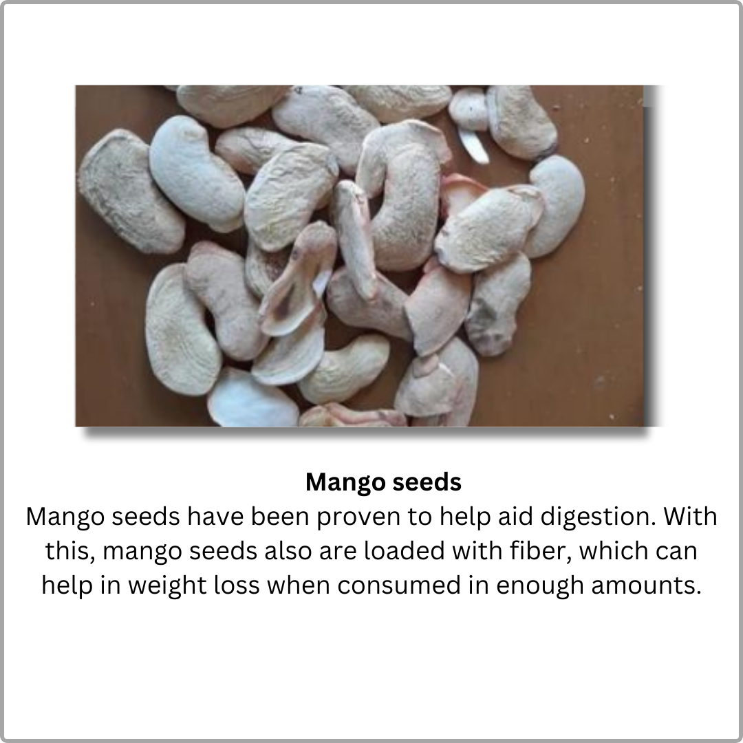 Mango Seeds Powder – Aarogya Nutri Mix